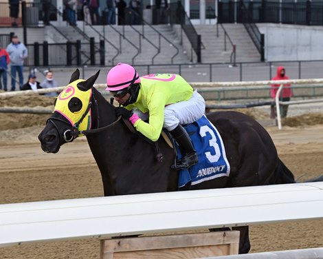 Chateau Lands Tom Fool in Graded Debut - BloodHorse