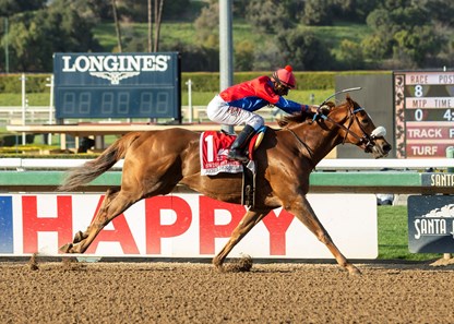 Swiss Skydiver - Horse Profile - BloodHorse
