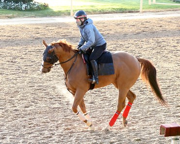 Whitmore - Horse Profile - BloodHorse