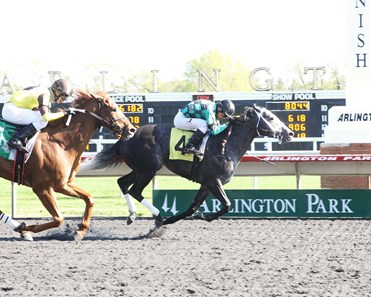Smokin' Jay - Horse Profile - BloodHorse