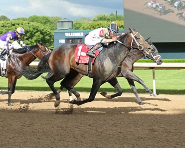Silver State - Horse Profile - BloodHorse