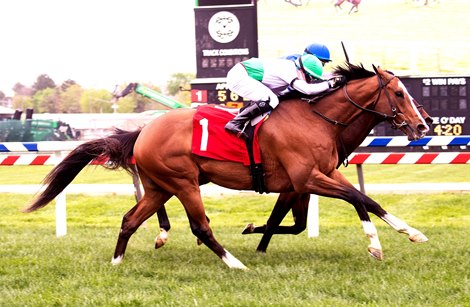 Henry Clark Stakes Winner Corelli Heads Monmouth Stakes - BloodHorse