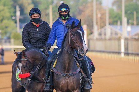 Hot Rod Charlie - Horse Profile - BloodHorse