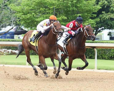 Sianara - Horse Profile - BloodHorse