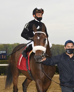 Kinenos - Horse Profile - BloodHorse