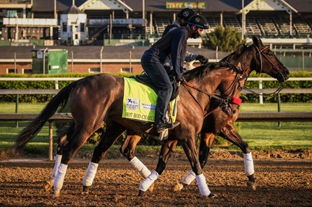 Hot Rod Charlie - Horse Profile - BloodHorse