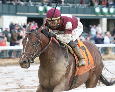 Stage Raider - Horse Profile - BloodHorse