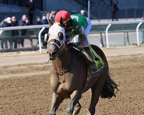 Mischevious Alex Draws Away to Win Carter - BloodHorse