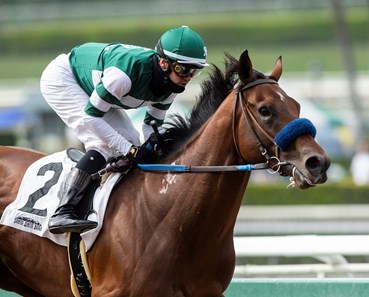 Flightline - Horse Profile - BloodHorse