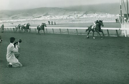 Citation - Horse Profile - BloodHorse