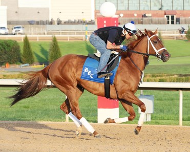 Monomoy Girl - Horse Profile - BloodHorse