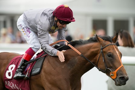 Mehmas (IRE) - Horse Profile - BloodHorse