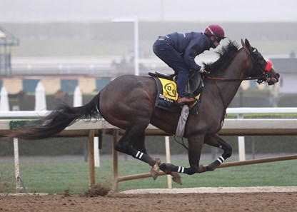 Hot Rod Charlie - Horse Profile - BloodHorse