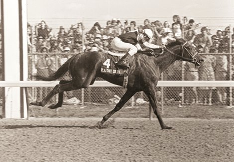 Pedigree: Kentucky Derby Winners as Sires - BloodHorse