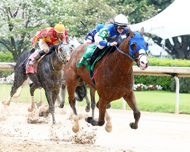 Time Heist - Horse Profile - BloodHorse