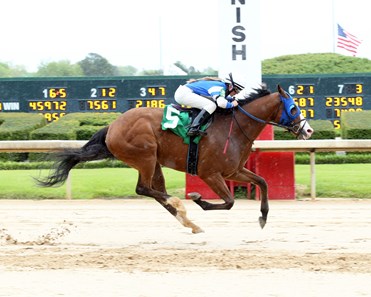 Time Heist - Horse Profile - BloodHorse