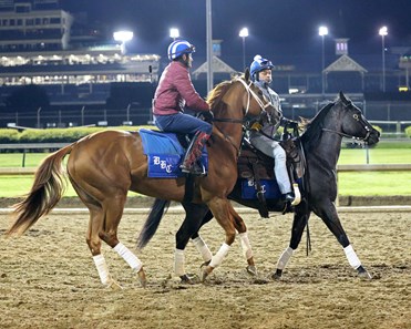 Monomoy Girl - Horse Profile - BloodHorse