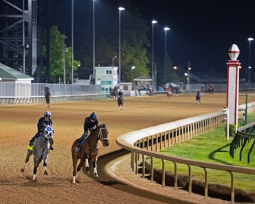 Essential Quality - Horse Profile - BloodHorse