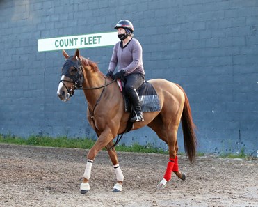 Whitmore - Horse Profile - BloodHorse