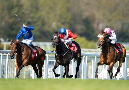 Well-Bred Nash Nasha Defeats Frankel Sister at Sandown - BloodHorse