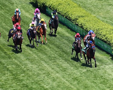 Du Jour - Horse Profile - BloodHorse