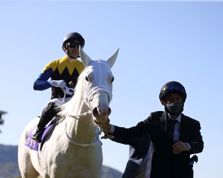 White Filly Sodashi Tests Dirt in Japan's Champions Cup - TrueNicks.com