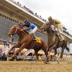 Curlin - Horse Profile - BloodHorse