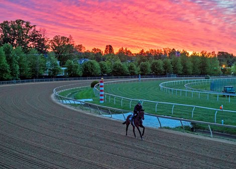 The Field for the 2021 Preakness Stakes - Slideshow - BloodHorse