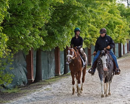 87-Year-Old Lukas Back from Injury on Stable Pony - TrueNicks.com