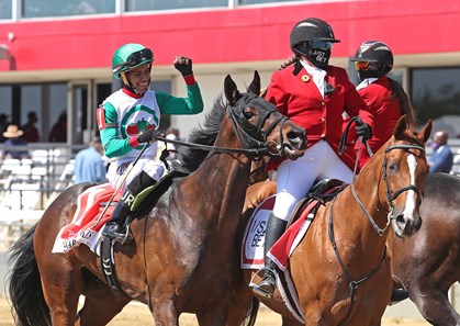 The King Cheek - Horse Profile - BloodHorse