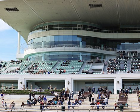 Can State Government Pressure on CDI Save Arlington? - BloodHorse