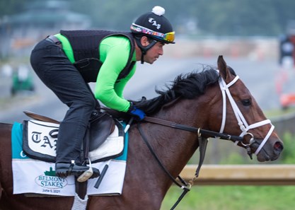 Overtook - Horse Profile - BloodHorse