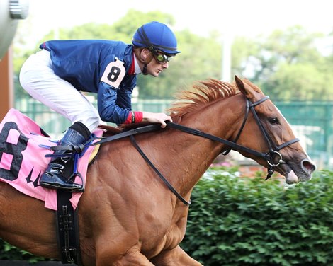 Gote Go Set For Stakes Debut in Selene - BloodHorse