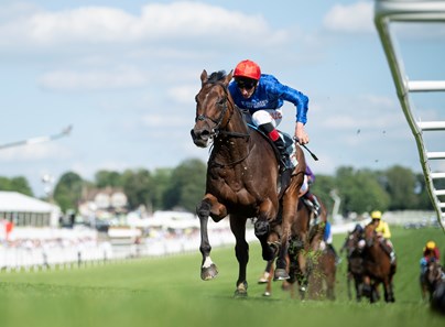 Adayar (IRE) - Horse Profile - BloodHorse