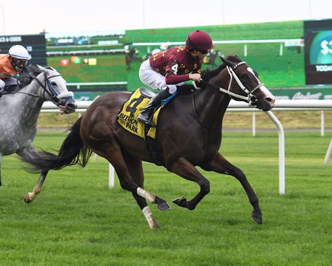 Thoroughbred Racing - BloodHorse