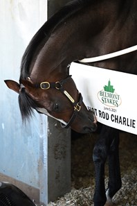 Hot Rod Charlie - Horse Profile - BloodHorse