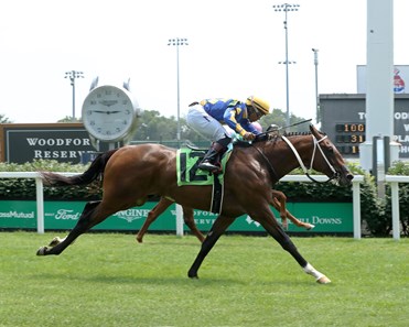 Seize the Treasure - Horse Profile - BloodHorse
