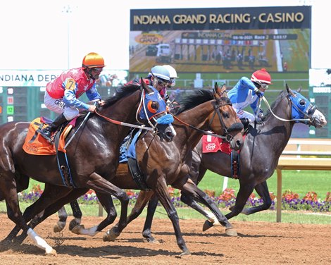 Record Breeder, Stallion Awards in Indiana in 2021 - BloodHorse