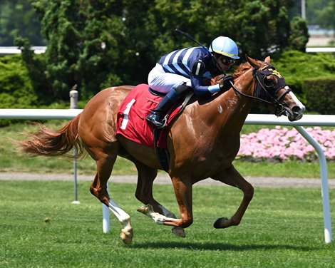 Ward Has Two Chances to Win Matron Second Straight Year - BloodHorse