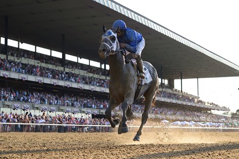 Essential Quality Named Champion 3-Year-Old Male - BloodHorse