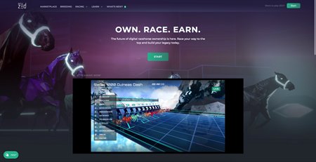 ZED Run Offers Virtual Racing, Potential Real Value - BloodHorse