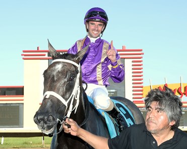 Saranya - Horse Profile - BloodHorse