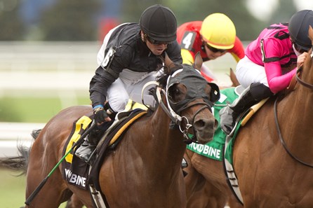 Can't Buy Love - Horse Profile - BloodHorse