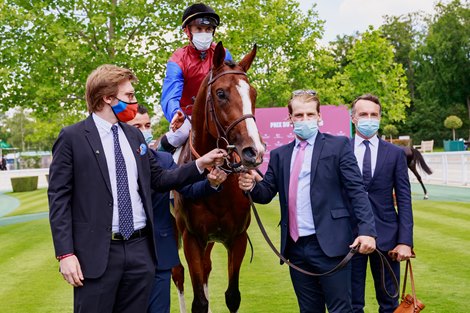 2020 Arc Runner-Up In Swoop Retired Due to Injury - BloodHorse