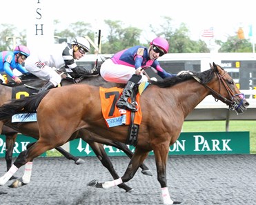 Abby Hatcher (IRE) - Horse Profile - BloodHorse