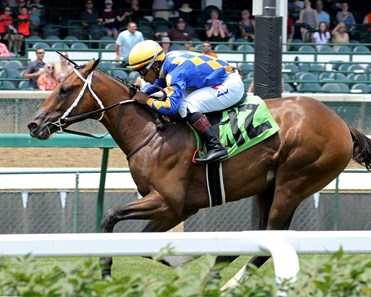 Seize the Treasure - Horse Profile - BloodHorse