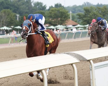 For the Dreamers - Horse Profile - BloodHorse