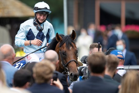 Starman (GB) - Horse Profile - BloodHorse