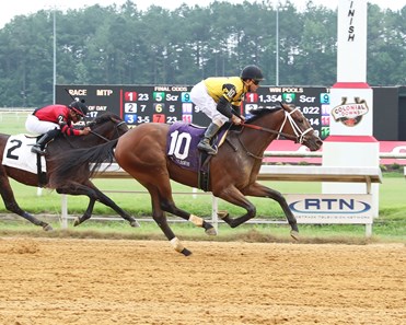 Sequist - Horse Profile - BloodHorse