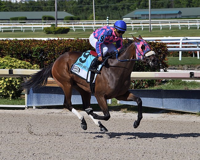 TrueNicks - TrueNicks.com